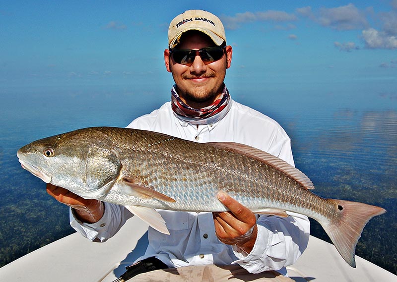 Backcountry Redfish in the Keys and Everglades